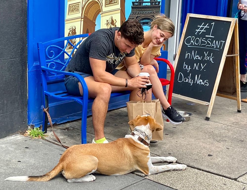 Pets: The Ultimate Social Connectors