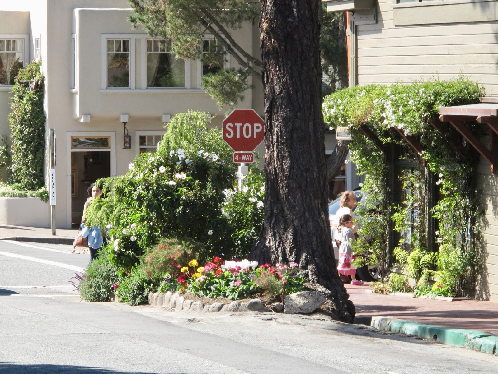 Throwing (Good) Shade for Placemaking