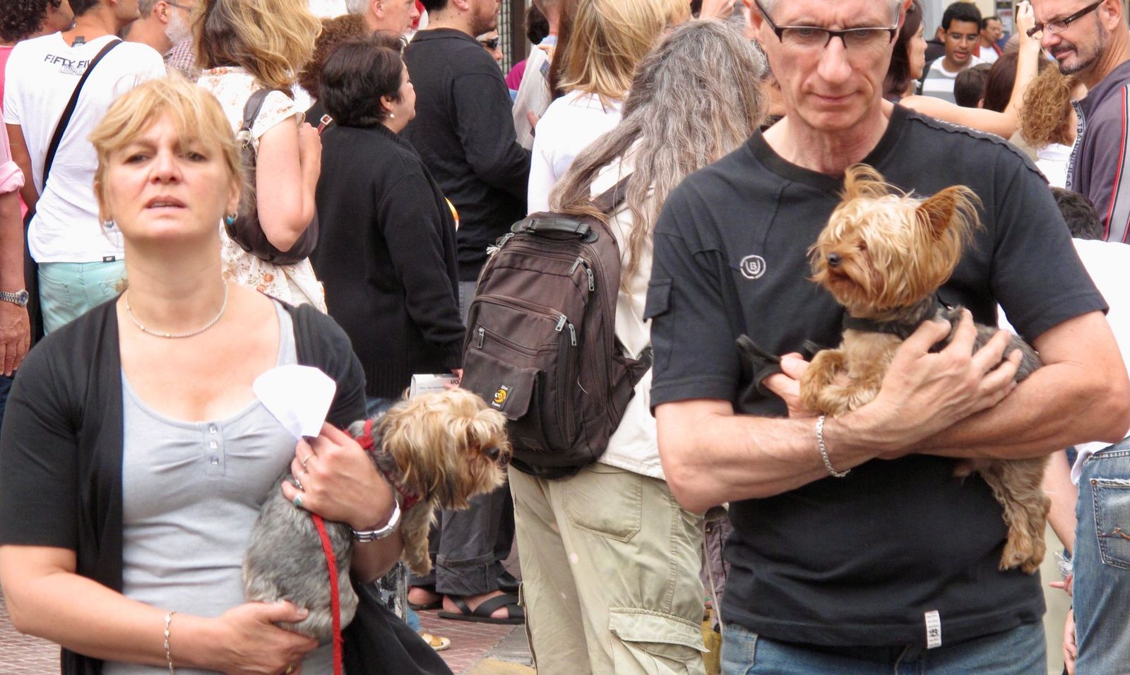 Pets: The Ultimate Social Connectors