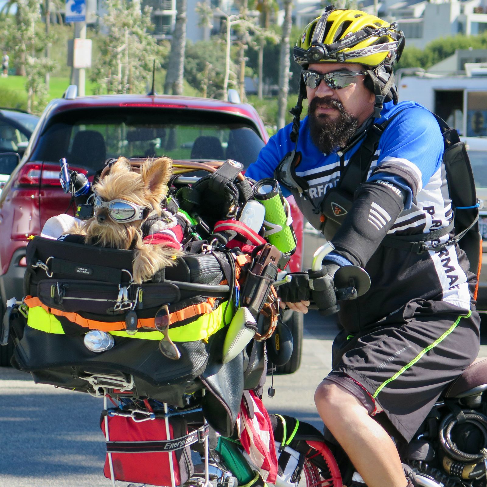 Pets: The Ultimate Social Connectors