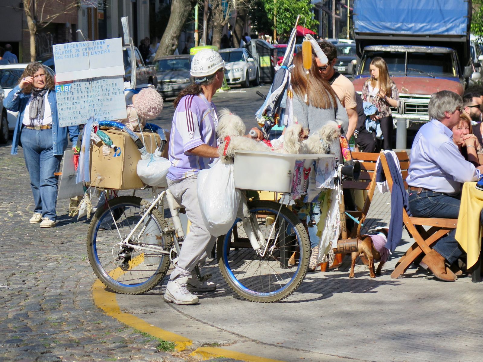 Pets: The Ultimate Social Connectors