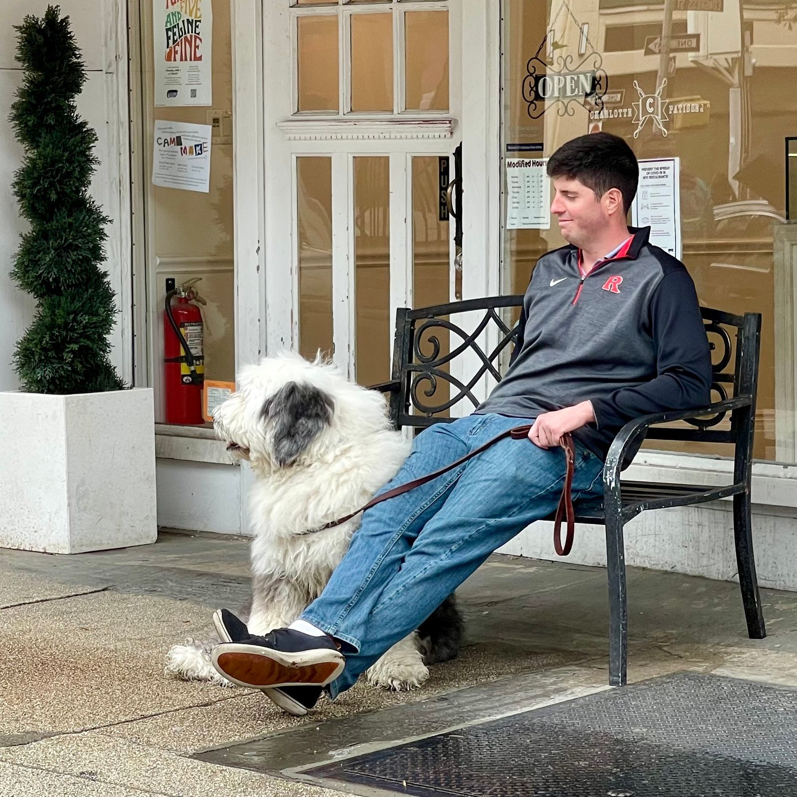 Pets: The Ultimate Social Connectors