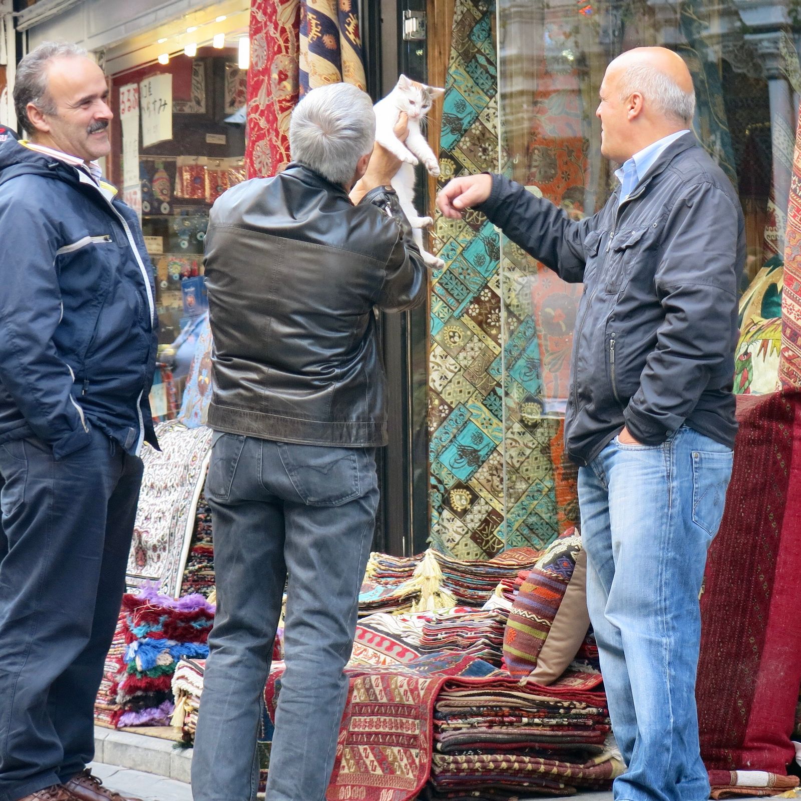 Pets: The Ultimate Social Connectors