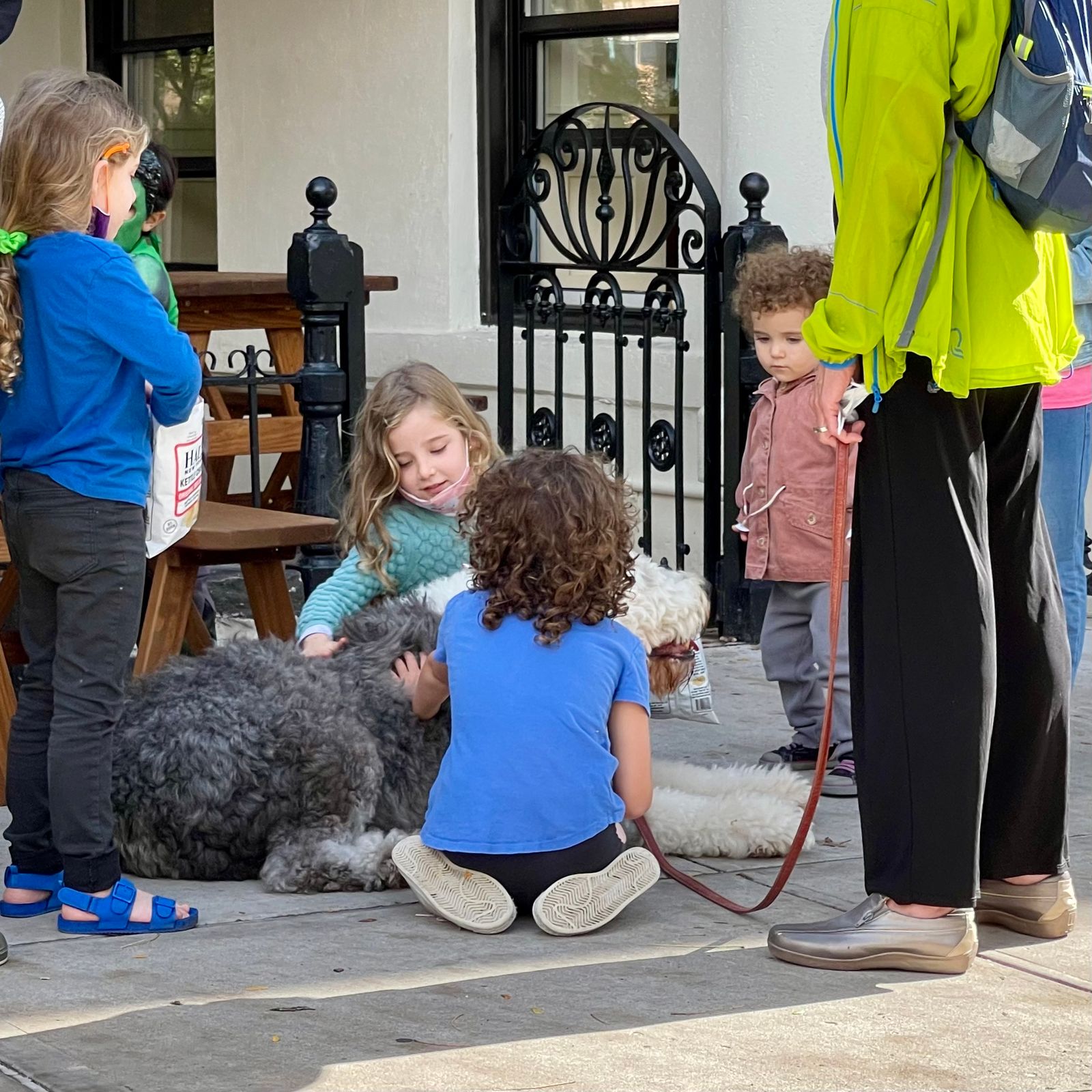 Pets: The Ultimate Social Connectors