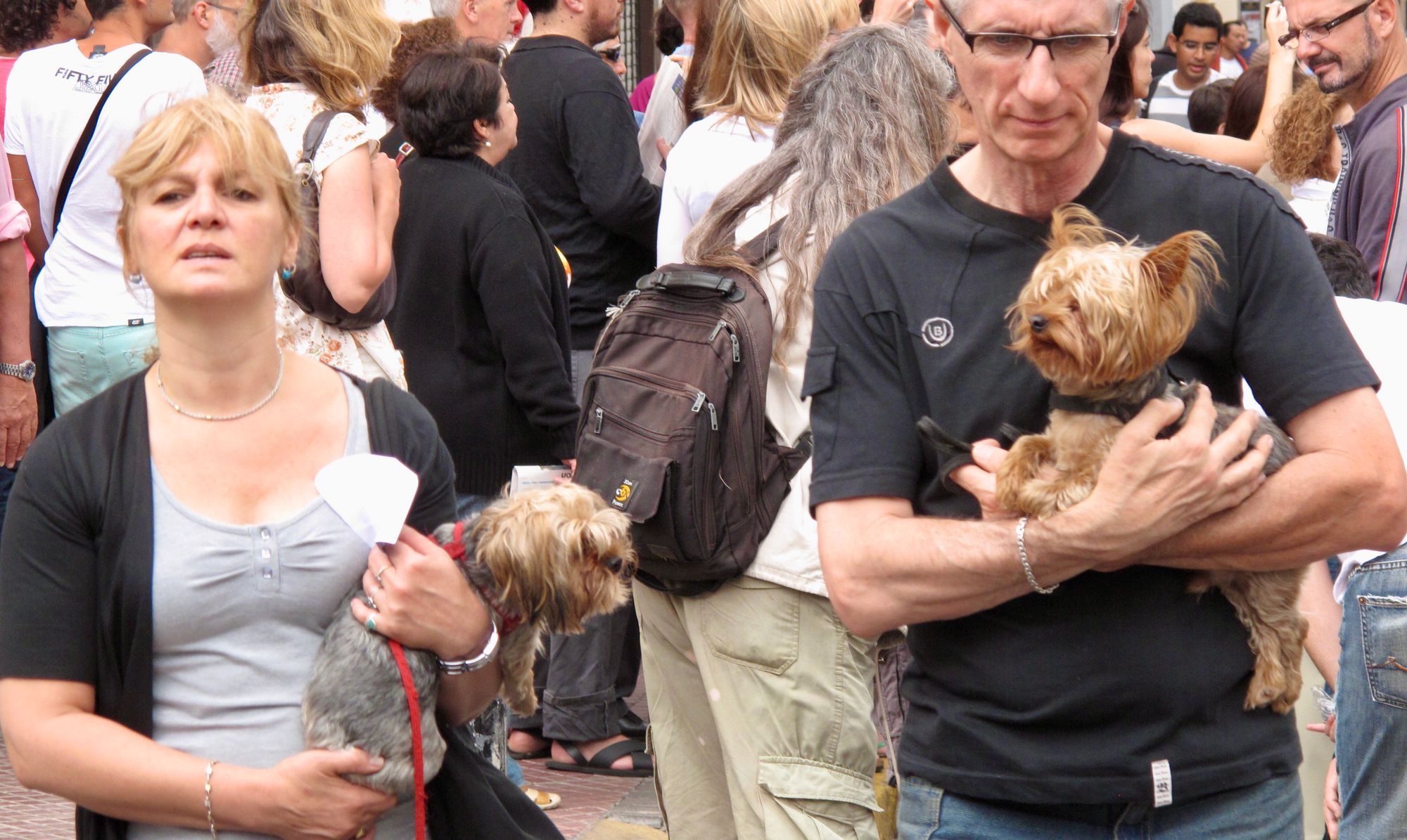 Pets: The Ultimate Social Connectors