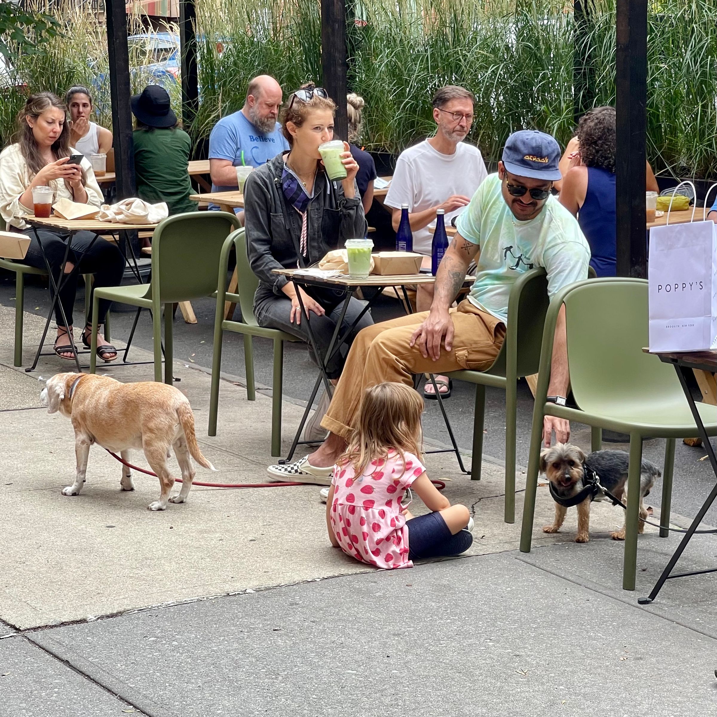 Pets: The Ultimate Social Connectors