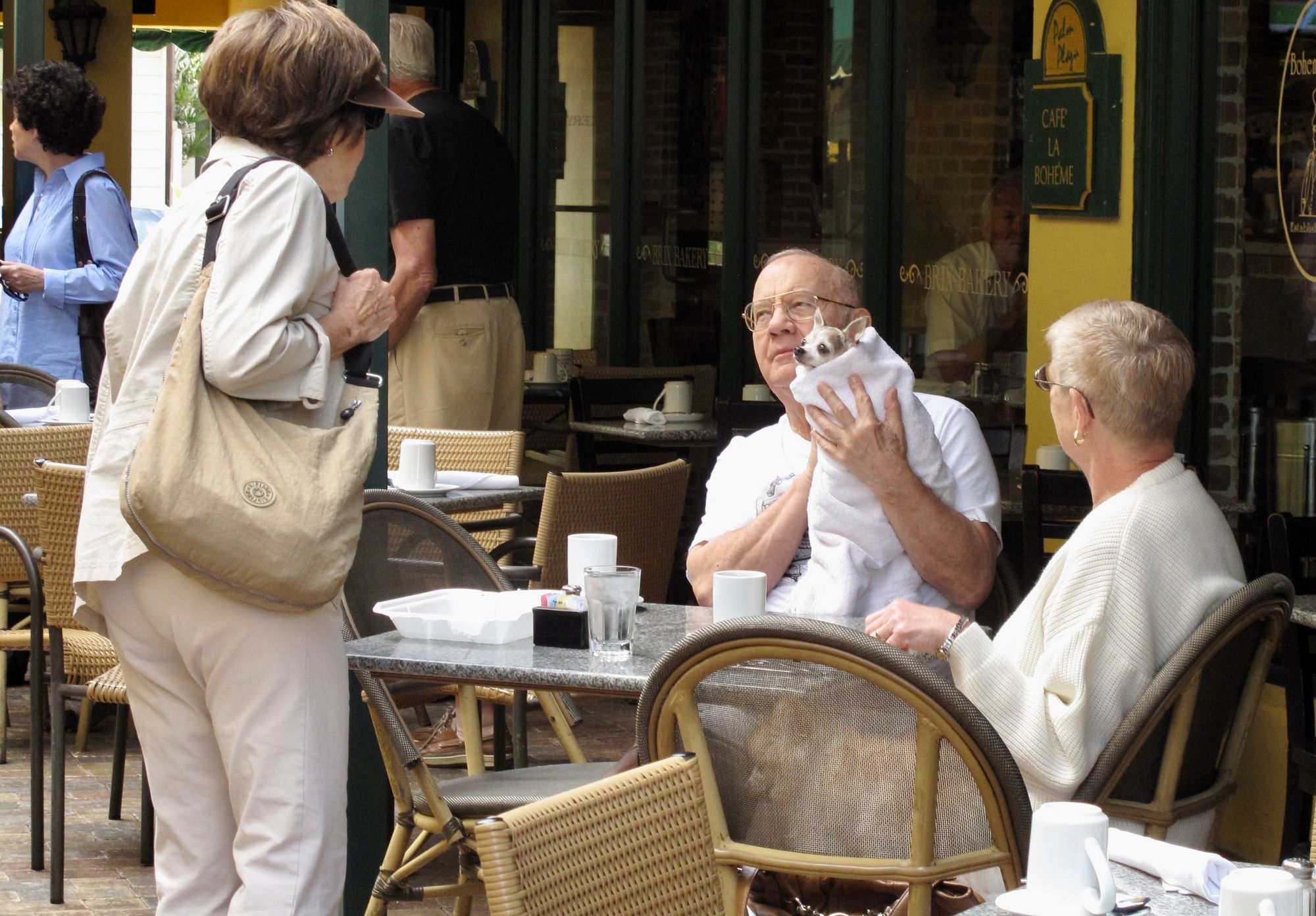 Pets: The Ultimate Social Connectors