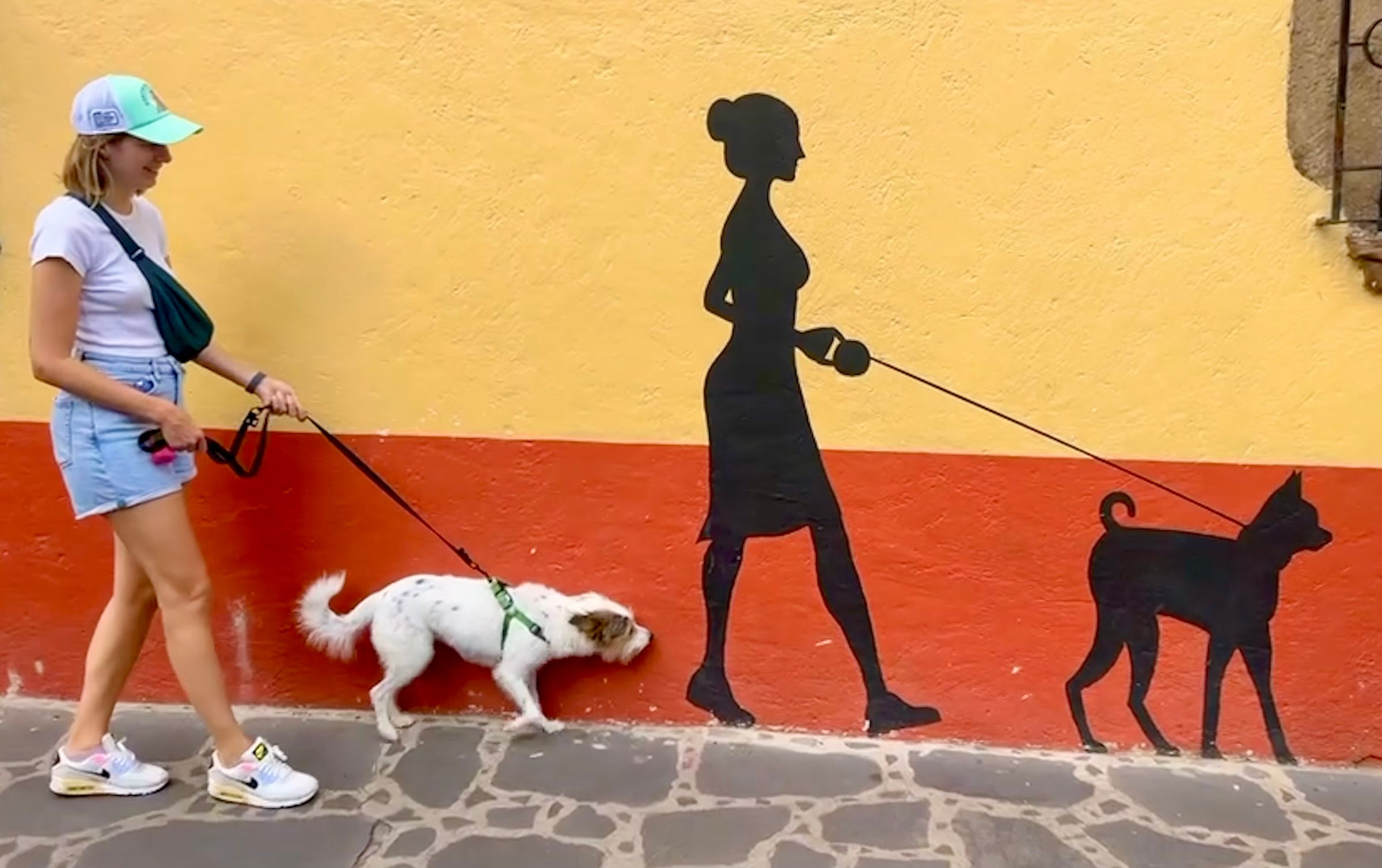 Pets: The Ultimate Social Connectors