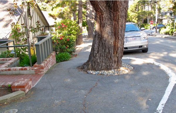 Throwing (Good) Shade for Placemaking