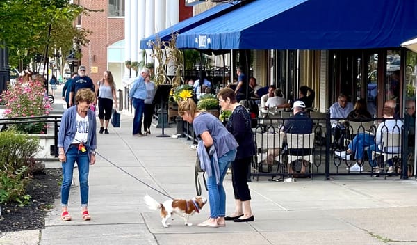 Sidewalk Resource Guide: Restoring Social Life in Our Communities